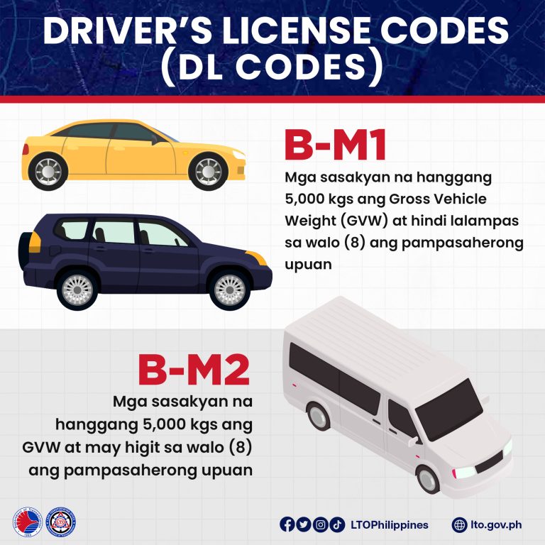 LTO DL Codes Explained: What They Mean and Why They Matter