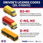 LTO DL Codes Explained: What They Mean and Why They Matter